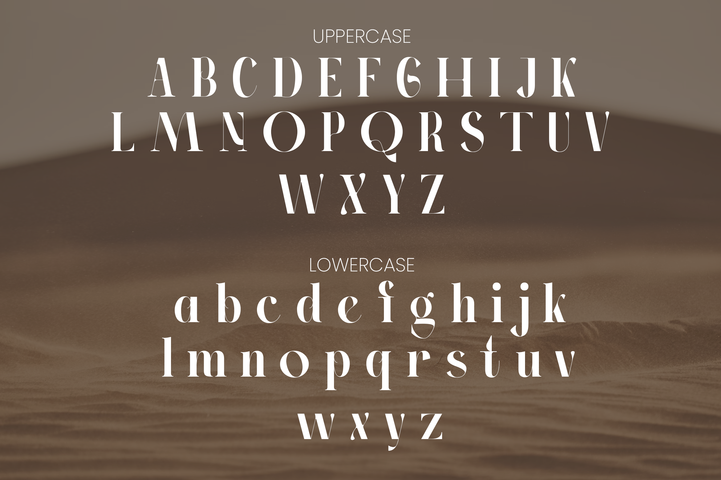 Modern and Elegant Serif Font Bundle, Fonts | GraphicRiver